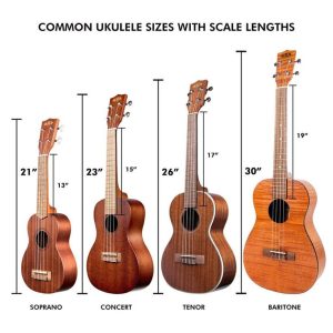 Chapter 1: Getting Started with the Ukulele - Basic Ukulele