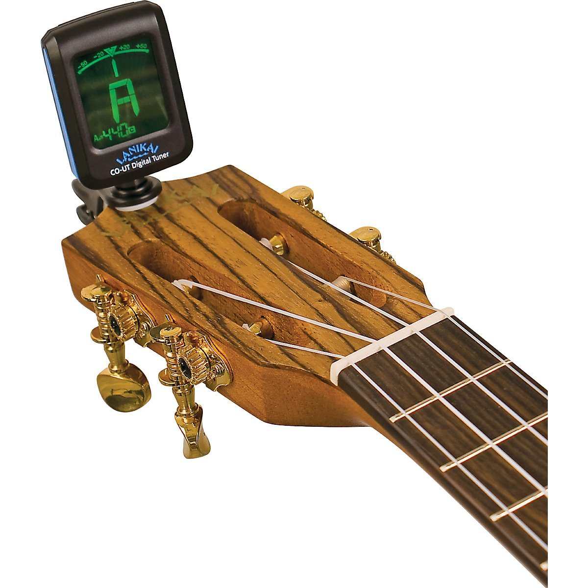 Chapter 1: Getting Started with the Ukulele - Basic Ukulele